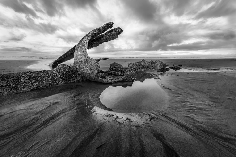 Thea Martin - The Pacific Northwest in Monochrome | LensCulture