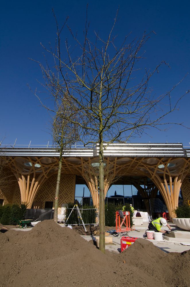 Julia Johnson - Cambridge Eco-Mosque, Mill Road, Cambridge, January ...