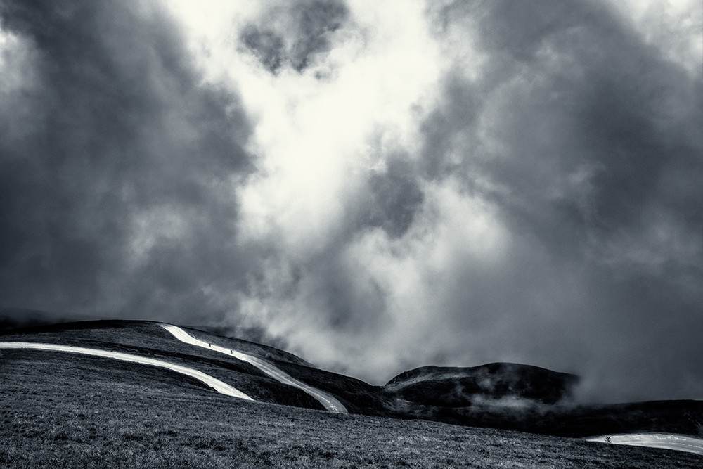 david tedman - Call of the Wild | LensCulture