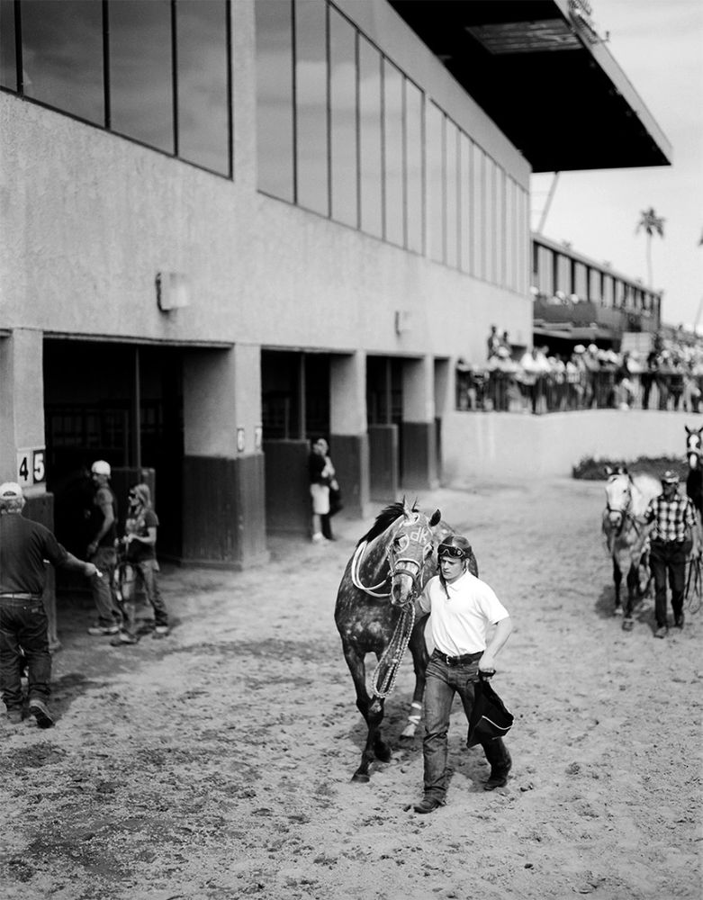 Matt Schoonmaker - Ghosts and Horses | LensCulture
