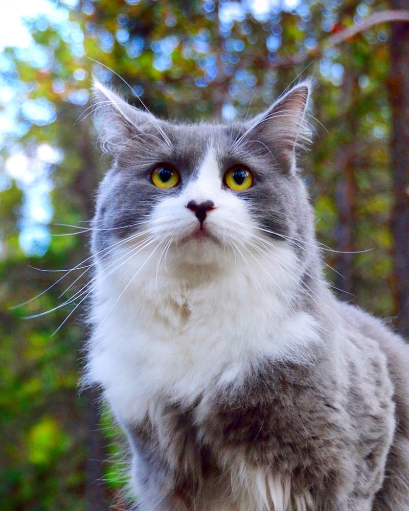 Maria Roper - Rio | LensCulture