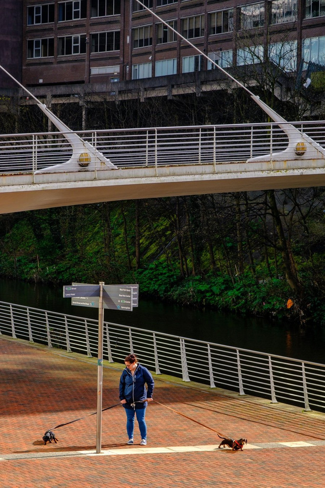 Lance Shields - Fragment | LensCulture