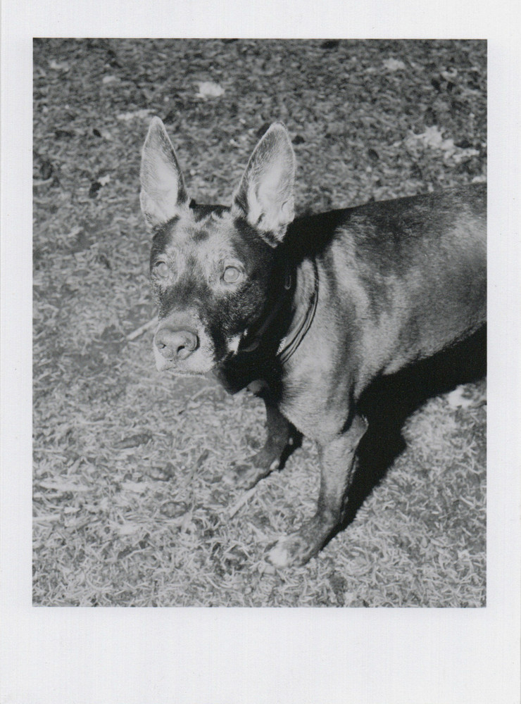 Jordan Conway - October 24, 2024 (45.9245678, -121.7642430) | LensCulture