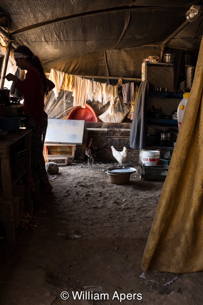 William Apers - A Bedouin story 2016 | LensCulture