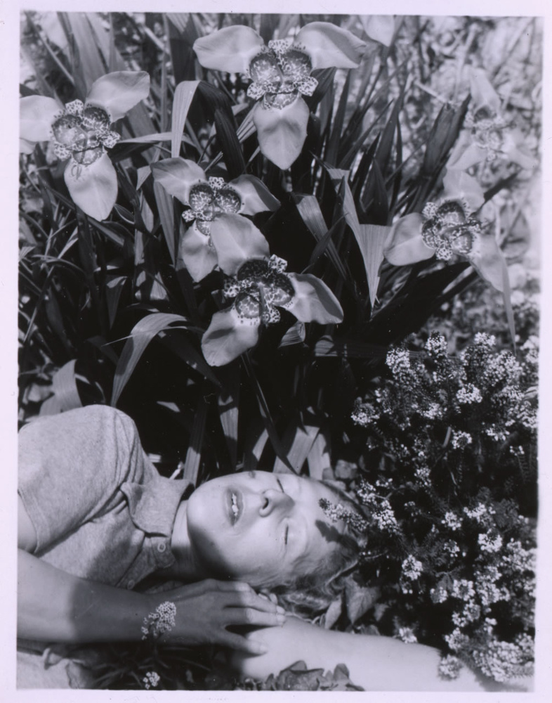 Dubai Photo Exhibition - France: Fannie Escoulen | LensCulture