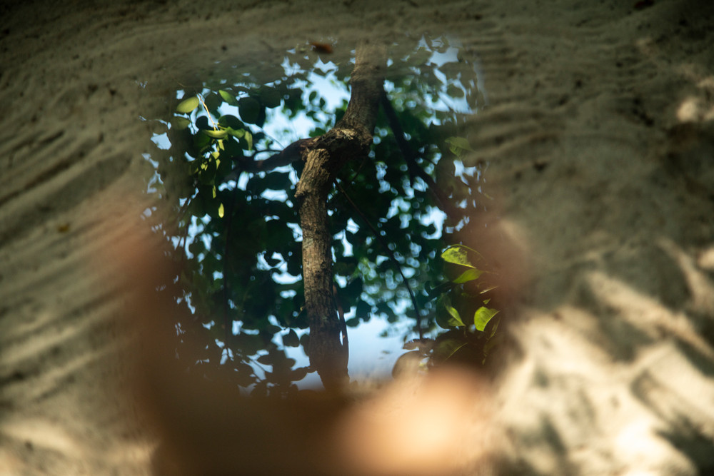 Nekane Ozamiz - Re-wilding the Broken Self | LensCulture