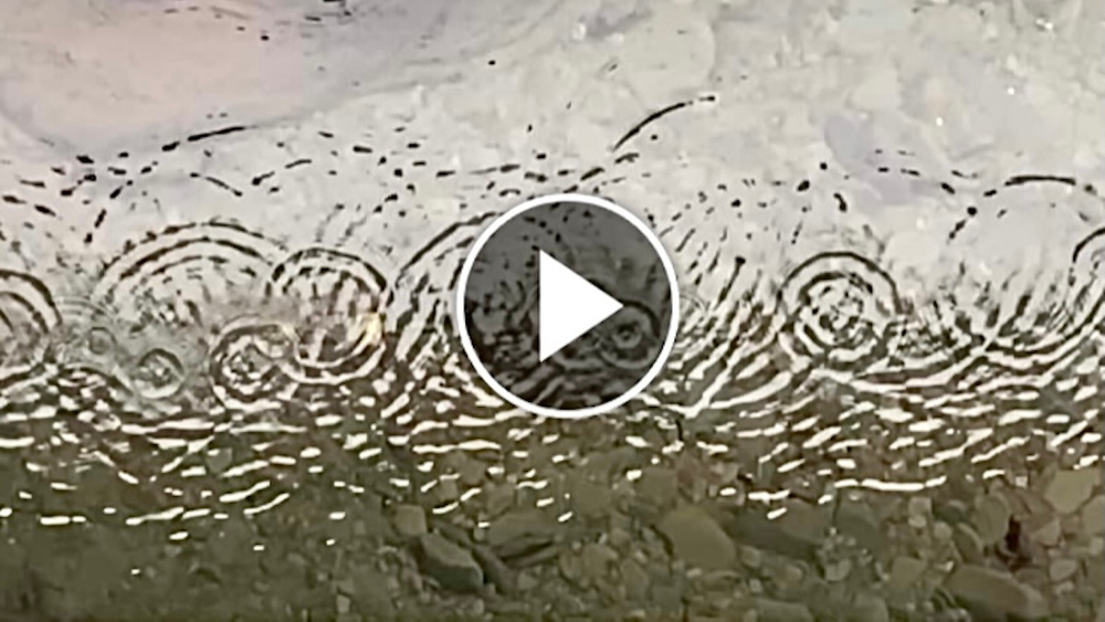 Steven Parisi - Gentile - Davis Orton Gallery (Hudson NY) 7 Annual ...