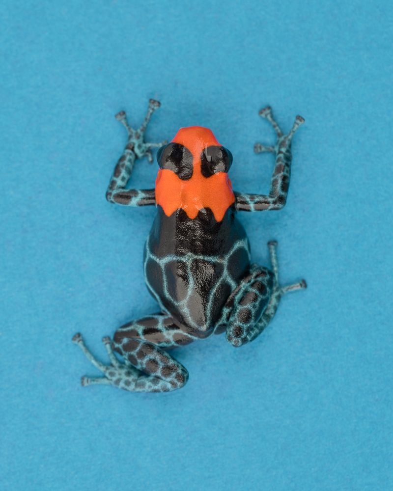 Zac Herr - Submission | LensCulture