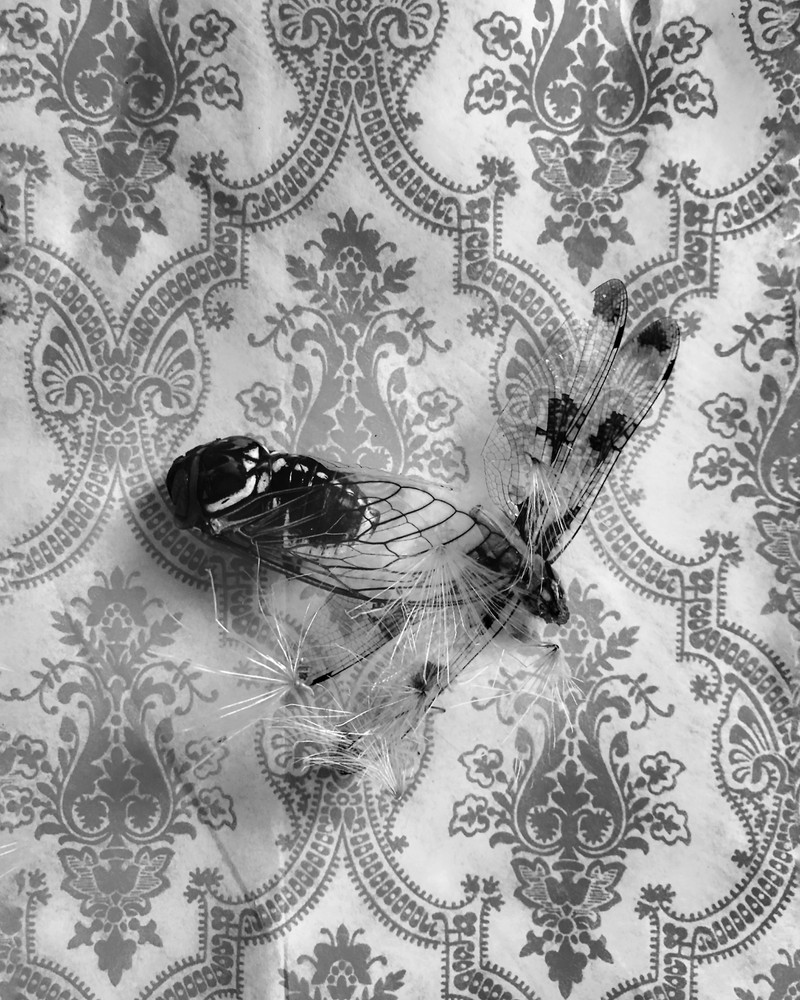 Tonya Russell - Untitled | LensCulture