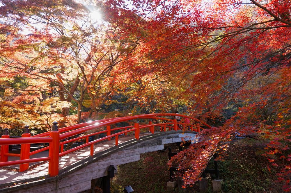 Chun Zhou - The beautiful moment in the world | LensCulture