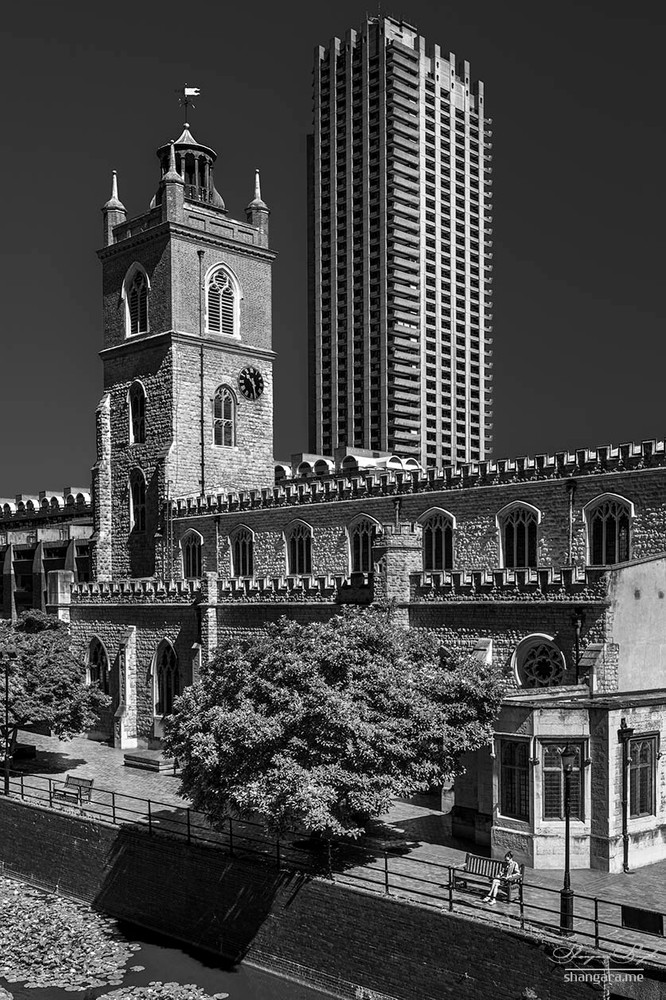 Shangara Singh - The Barbican | LensCulture