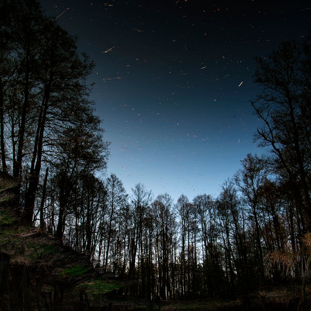 Philippe Robert - Untitled | LensCulture