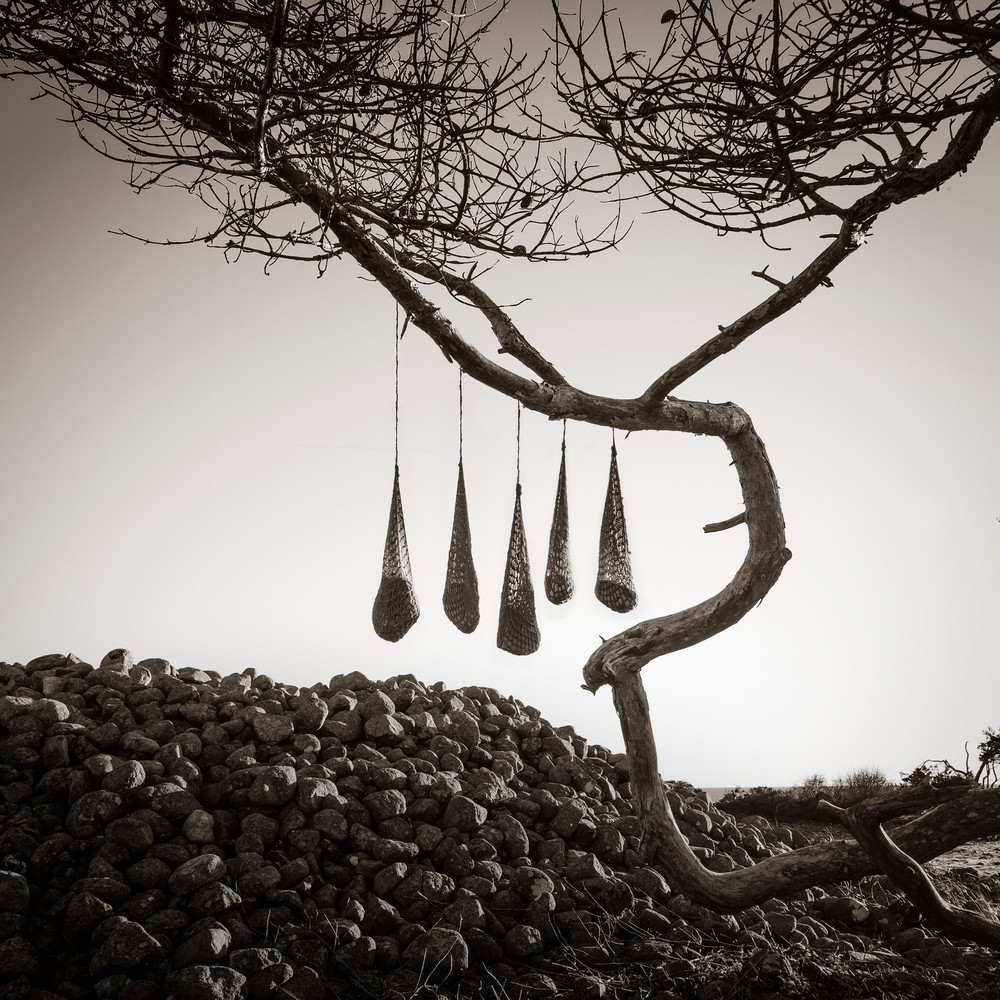 Hege Jaksland - Conversation with nature | LensCulture