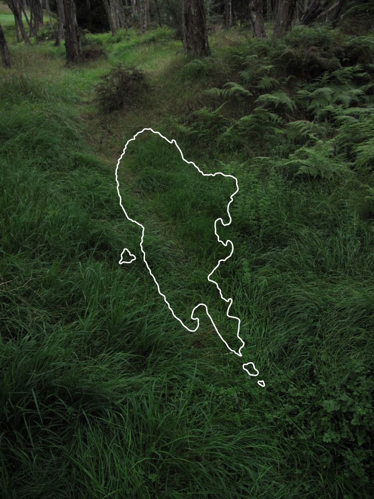 Andrew Killick | Critics' Choice 2021 Entry