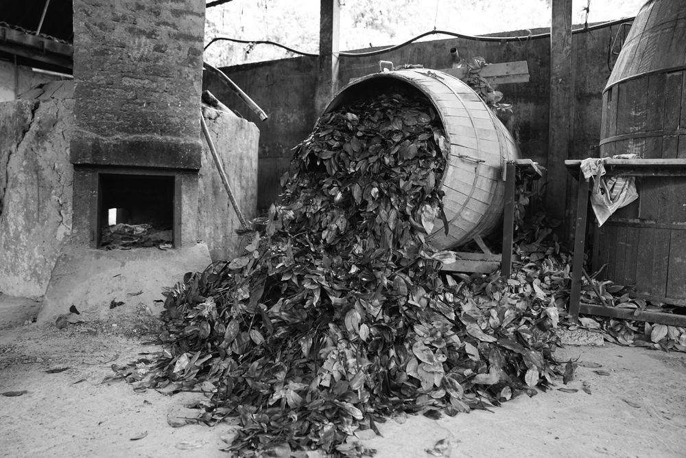 Owen Calvert - Exporting The Spirit of Ceylon | LensCulture