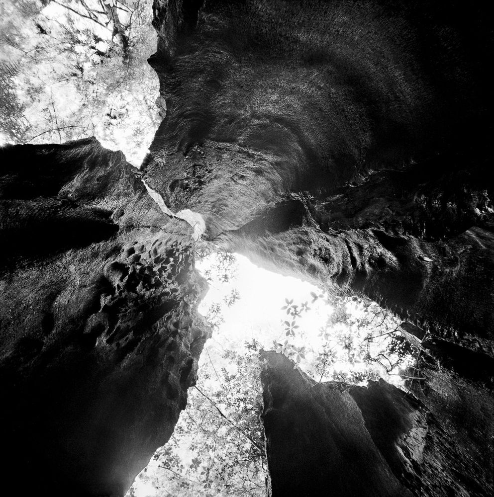 Stuart Rome - General Entry - Emerging Talent Awards | LensCulture