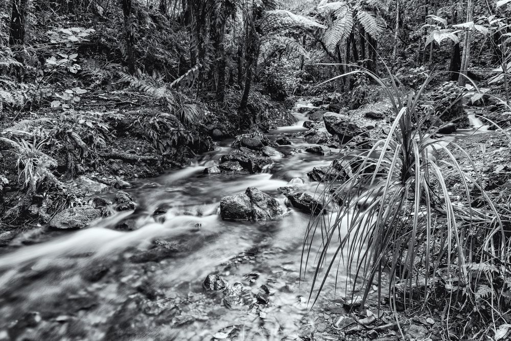 Christine Jacobson - Submission | LensCulture