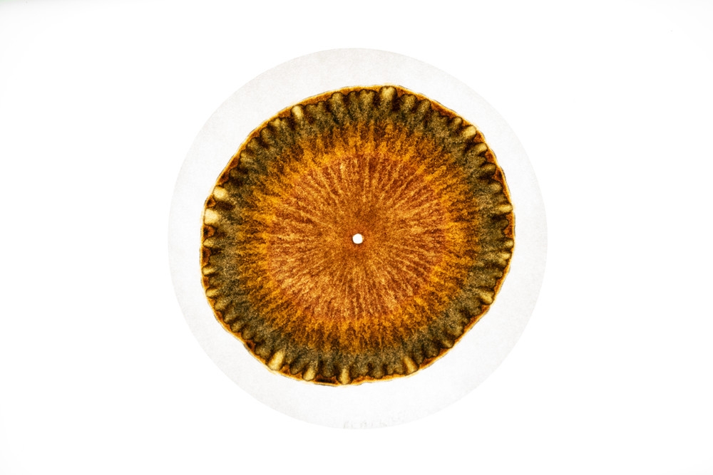 Morag Paterson - A Gentle Life Force | LensCulture