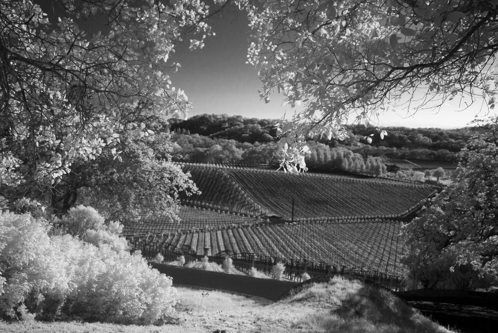 Ian Day - Untitled | LensCulture