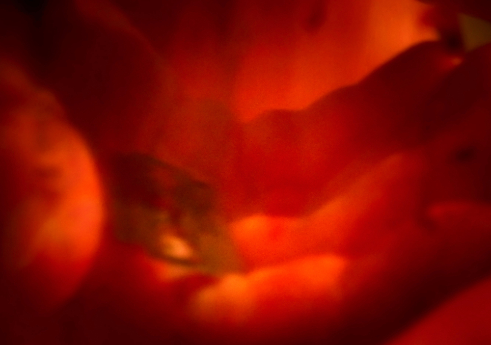 Katalin Pusztaszeri - RED ABYSS | LensCulture