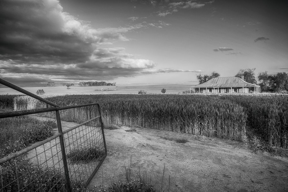 Rod Lawson Kerr - W.A. Wheatbelt plus one. | LensCulture