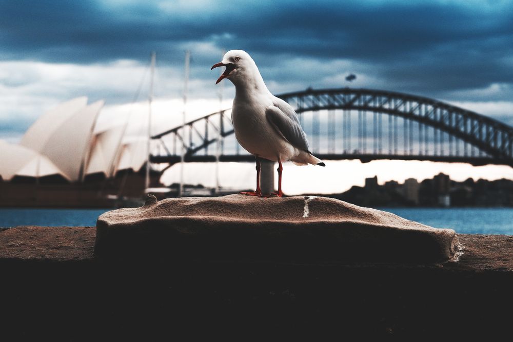 Addison Hamilton - Submission | LensCulture