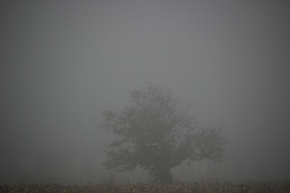 Déborah NANNI-DEMONT - The moon never forgets | LensCulture