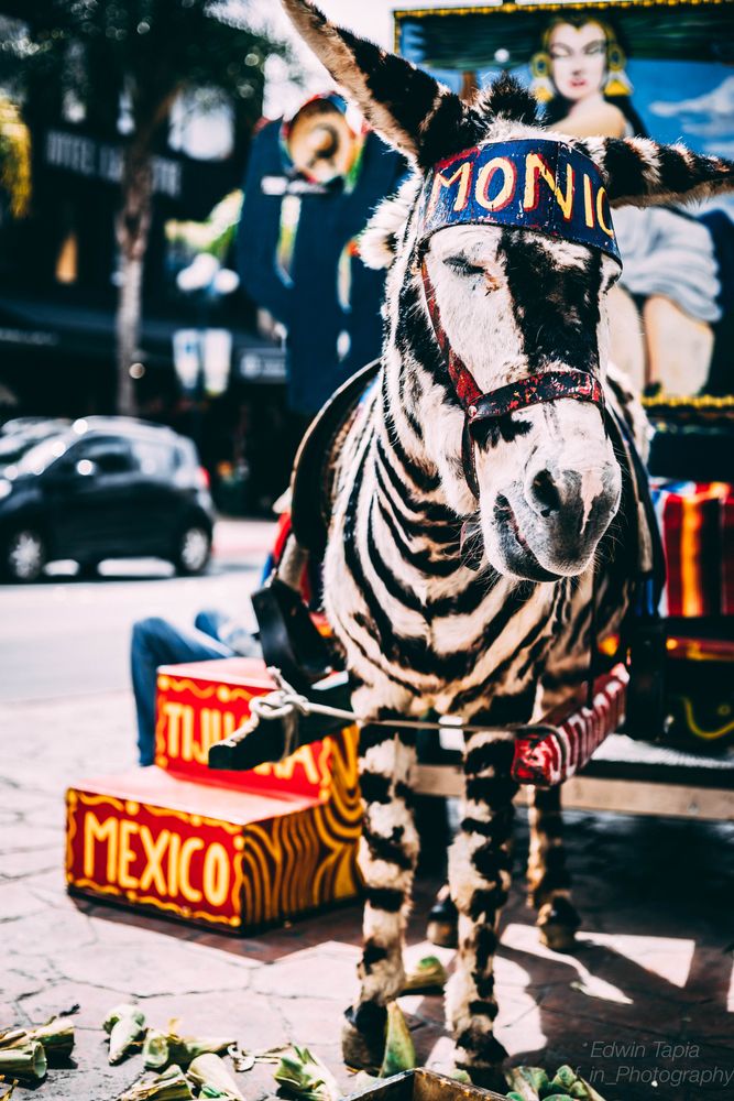 Edwin Tapia - La perspectiva de Monica | LensCulture