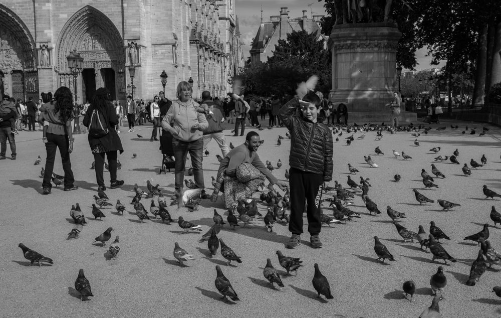 Grace Seow - Le Rêve (The Dream) | LensCulture