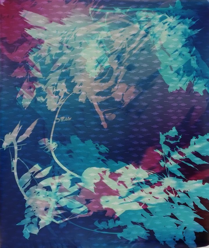 Exhibition Spotlight: The Sun Room - Photographs by Bryan Graf ...