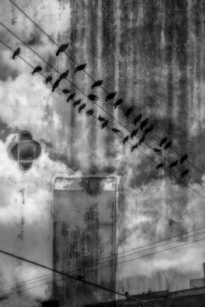 Larry Chait - Walls and Wires | LensCulture