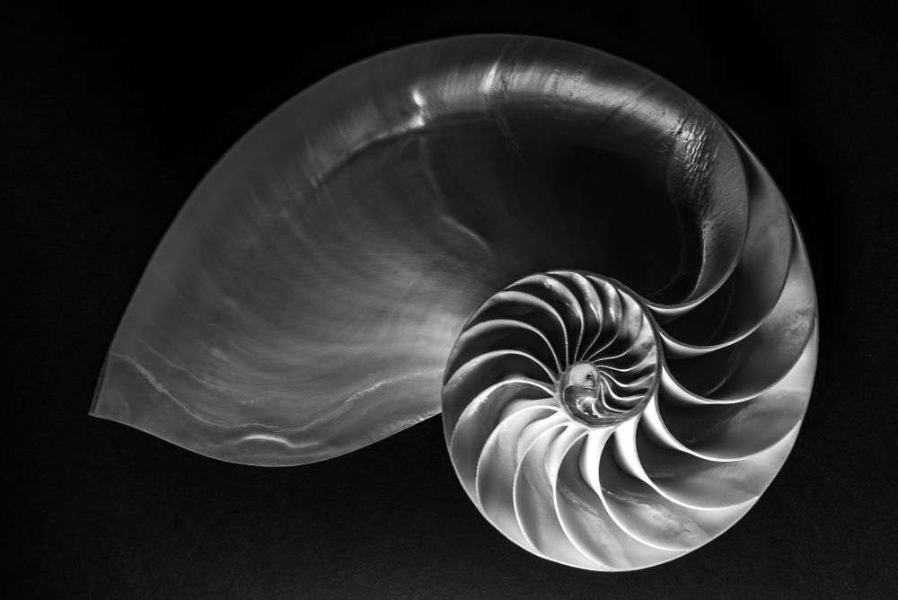 Gary Taylor - Untitled | LensCulture