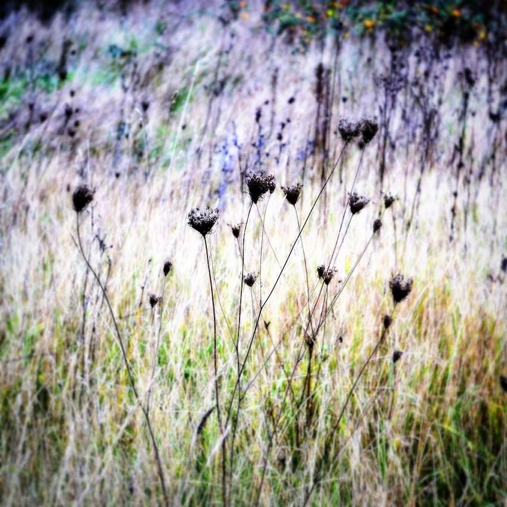 Peter Bolos - Home from home | LensCulture