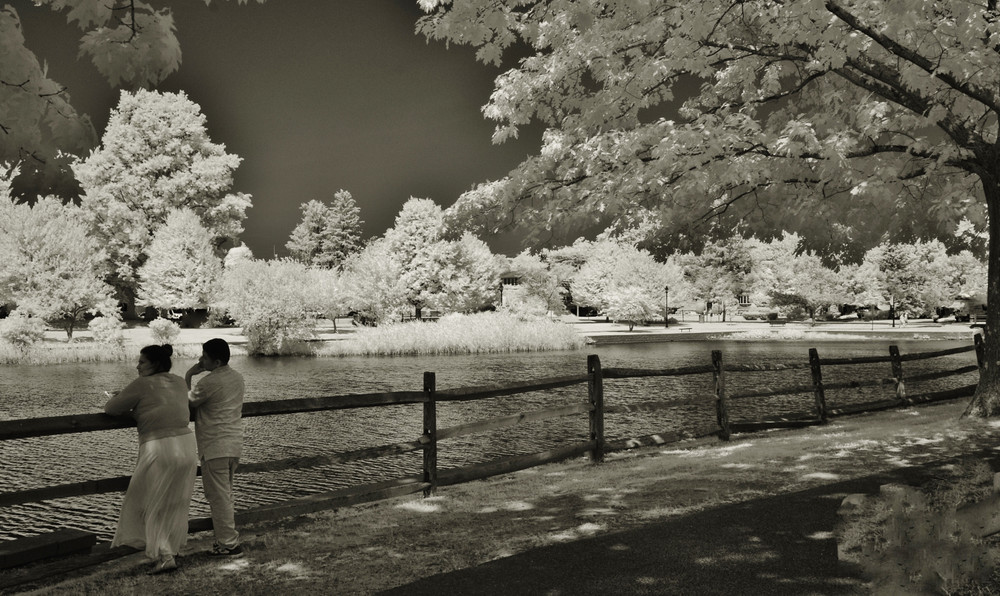 joseph paduano - Infrared scenes | LensCulture