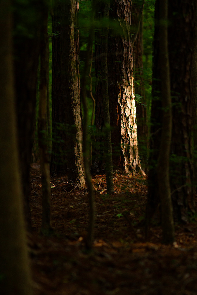 Kevin Larkin - Follow the Light | LensCulture