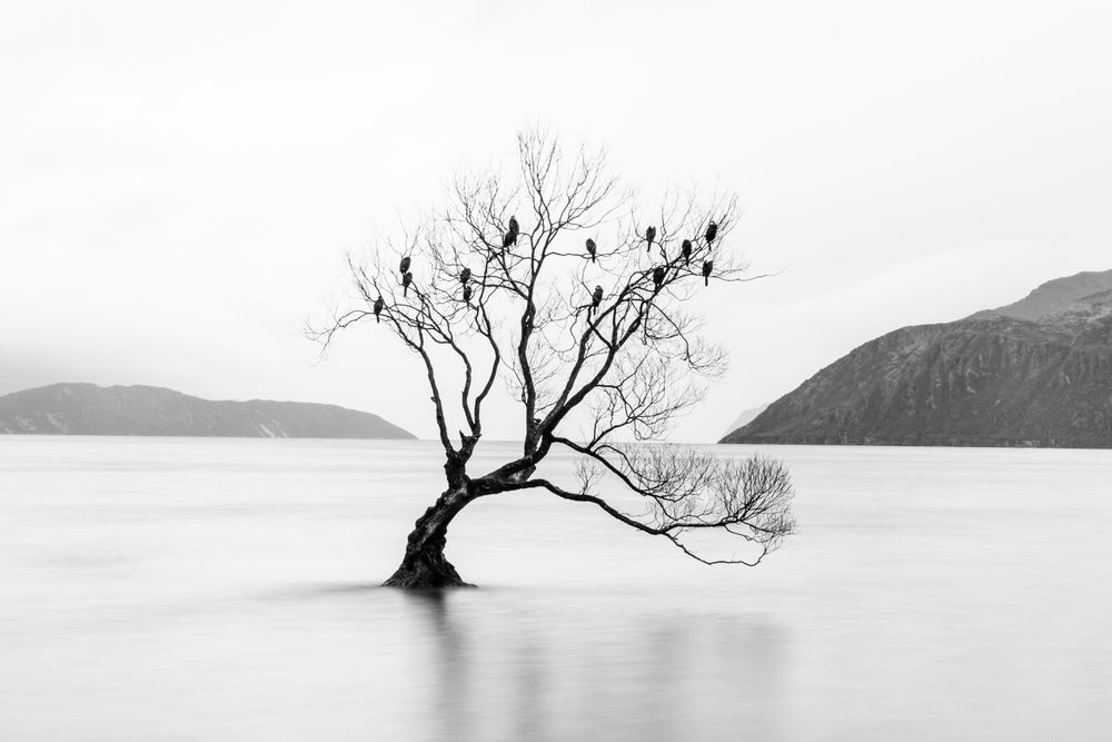 Mitchell Ratcliffe - Submission | LensCulture