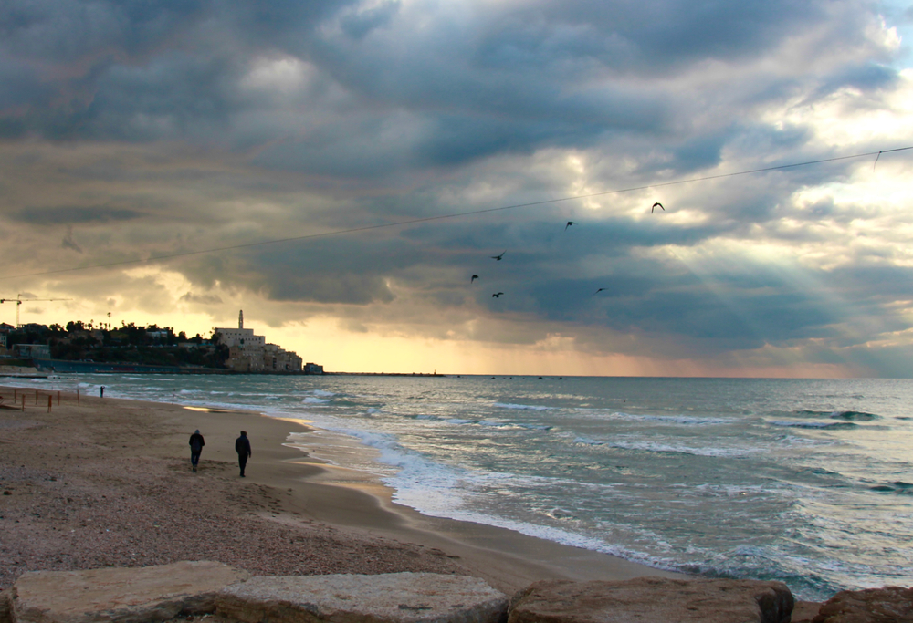 Deborah Segal - Untitled | LensCulture