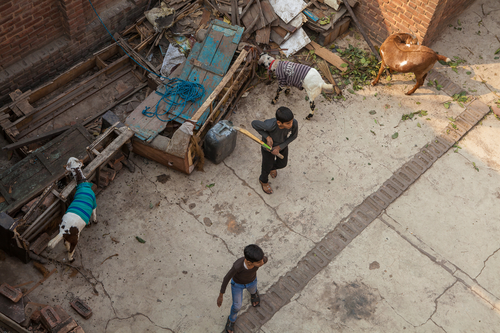 Islahuddin Ashraf - Delhi from a Rooftop | LensCulture