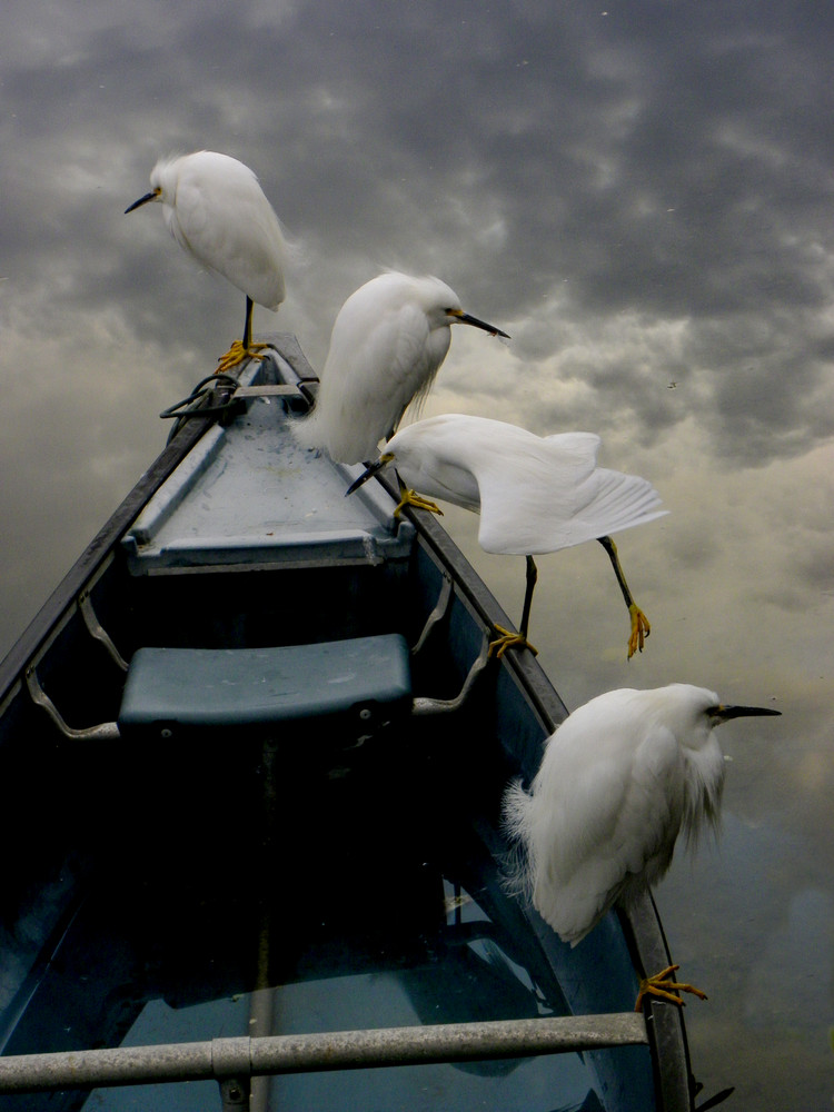 Henry Graham Murray - Venice Beach Views | LensCulture
