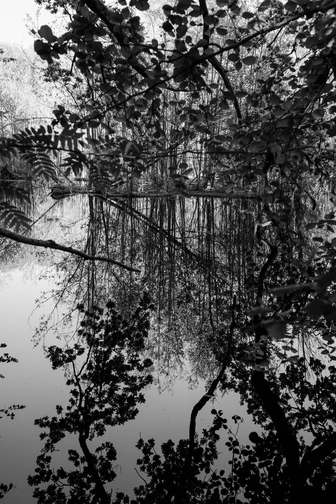 Alexandre Machado - Reflections | LensCulture