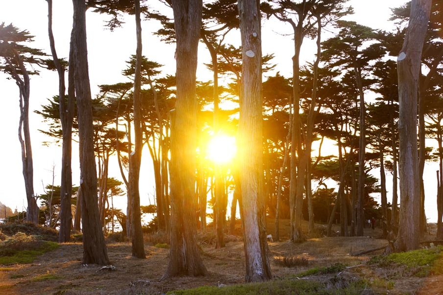 Sasha Elage - USA 2 | LensCulture