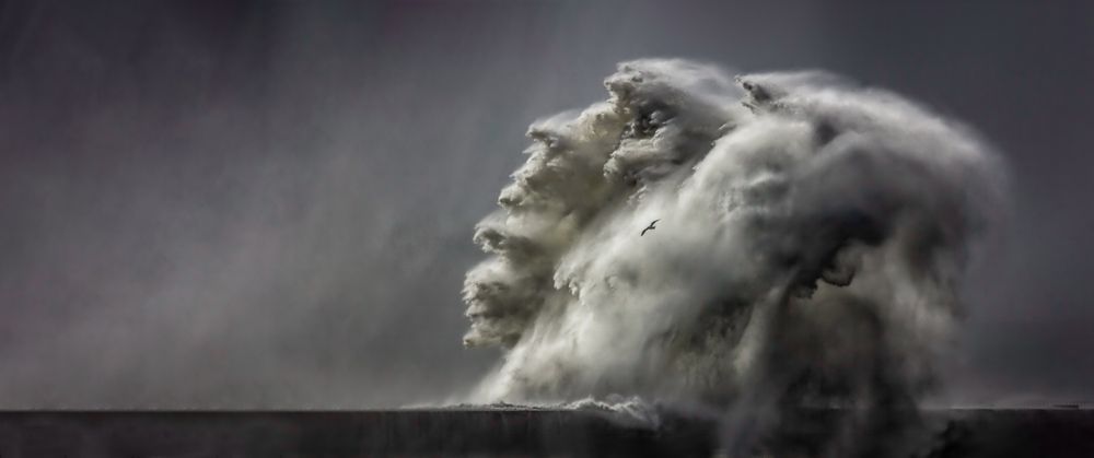 Lani Edwards - My World | LensCulture