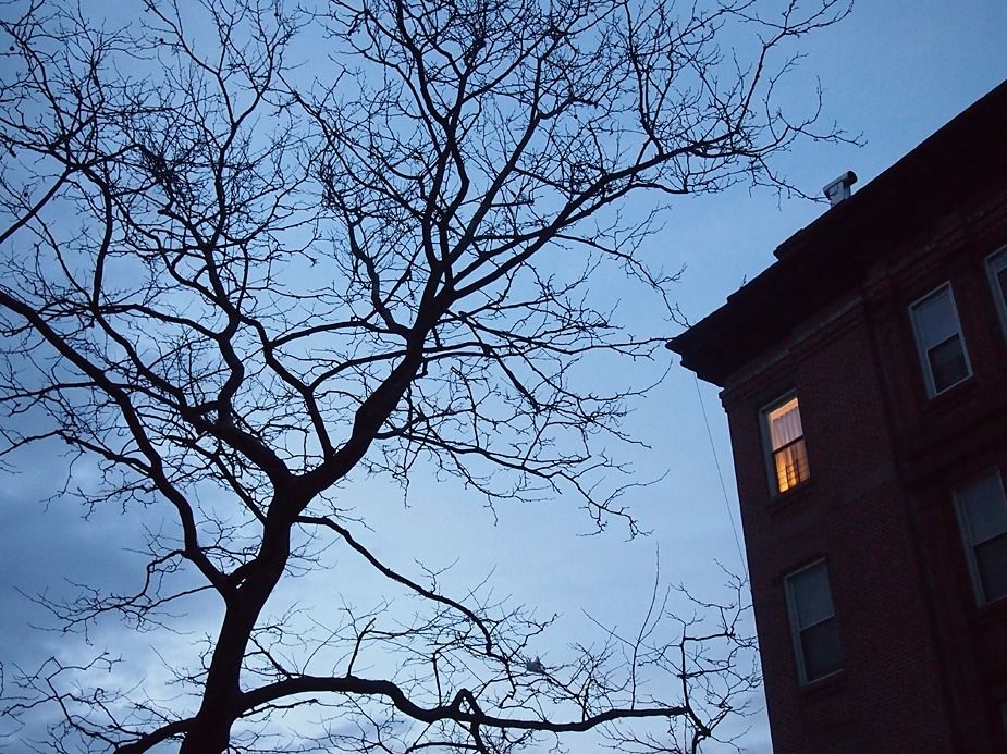 Matt Nighswander - Next Door in Brooklyn | LensCulture