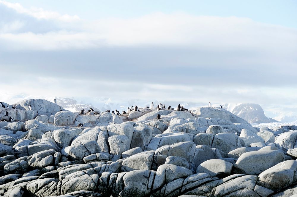 Laureen Robert - ANTARCTICA | LensCulture
