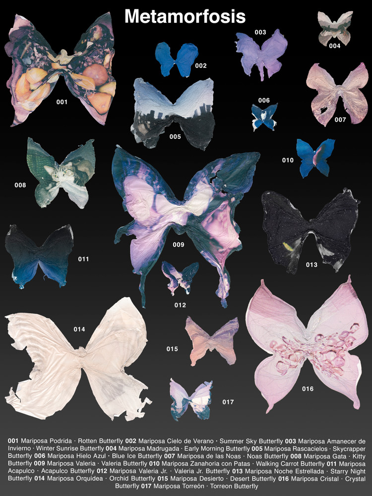 Alan de la Rosa - Metamorfosis | LensCulture