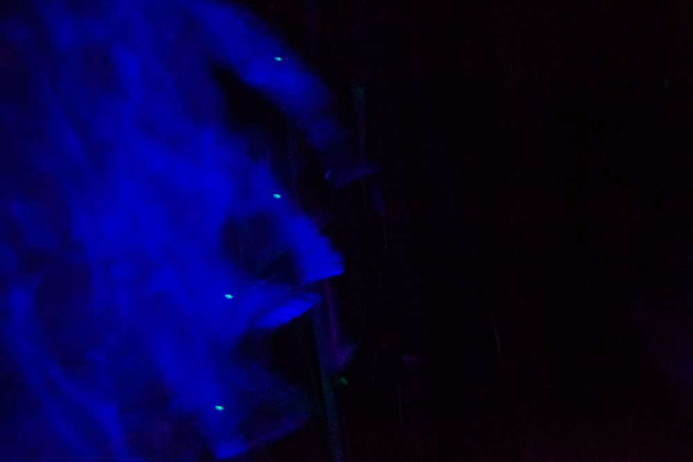 Szymon Sułkowski - Motion afterimage | LensCulture