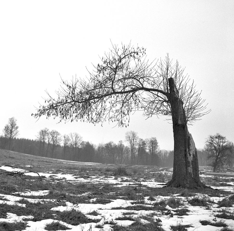 Stefan Neagu - Lost Souls | LensCulture