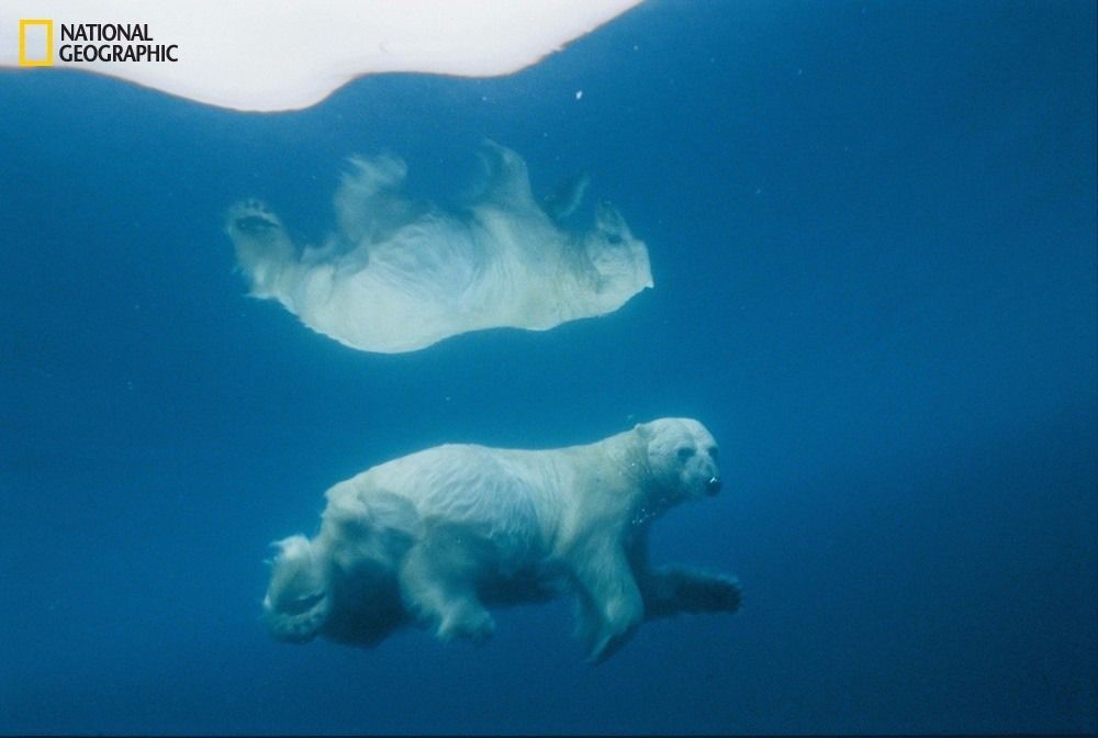The World Through Pictures: 30 Years at National Geographic - Interview ...
