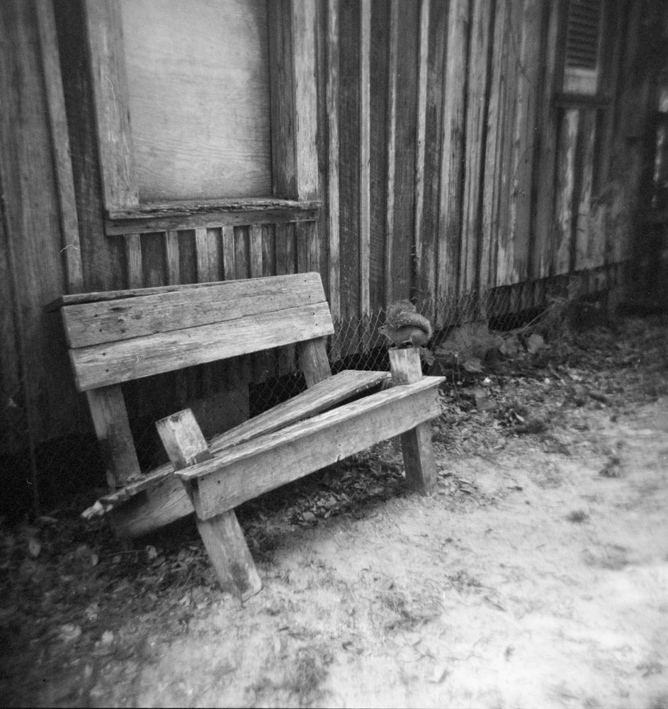 Jasmine Ruffin - Black & White Series | LensCulture