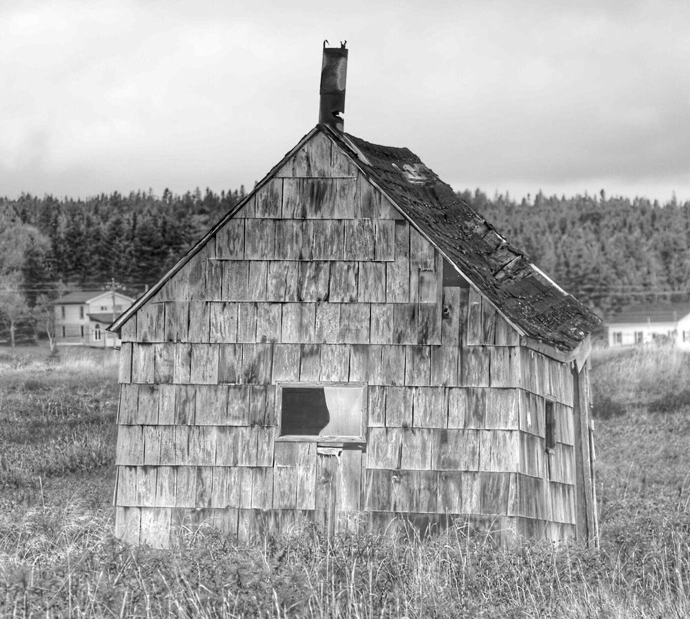 Kathy Haslam - Study in Black and White | LensCulture